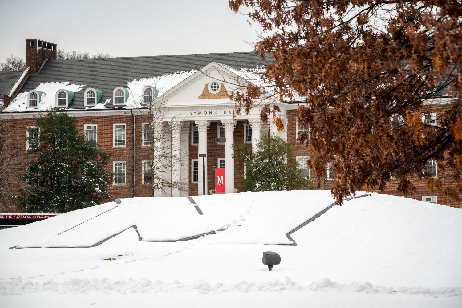 Home | Institute of Applied Agriculture